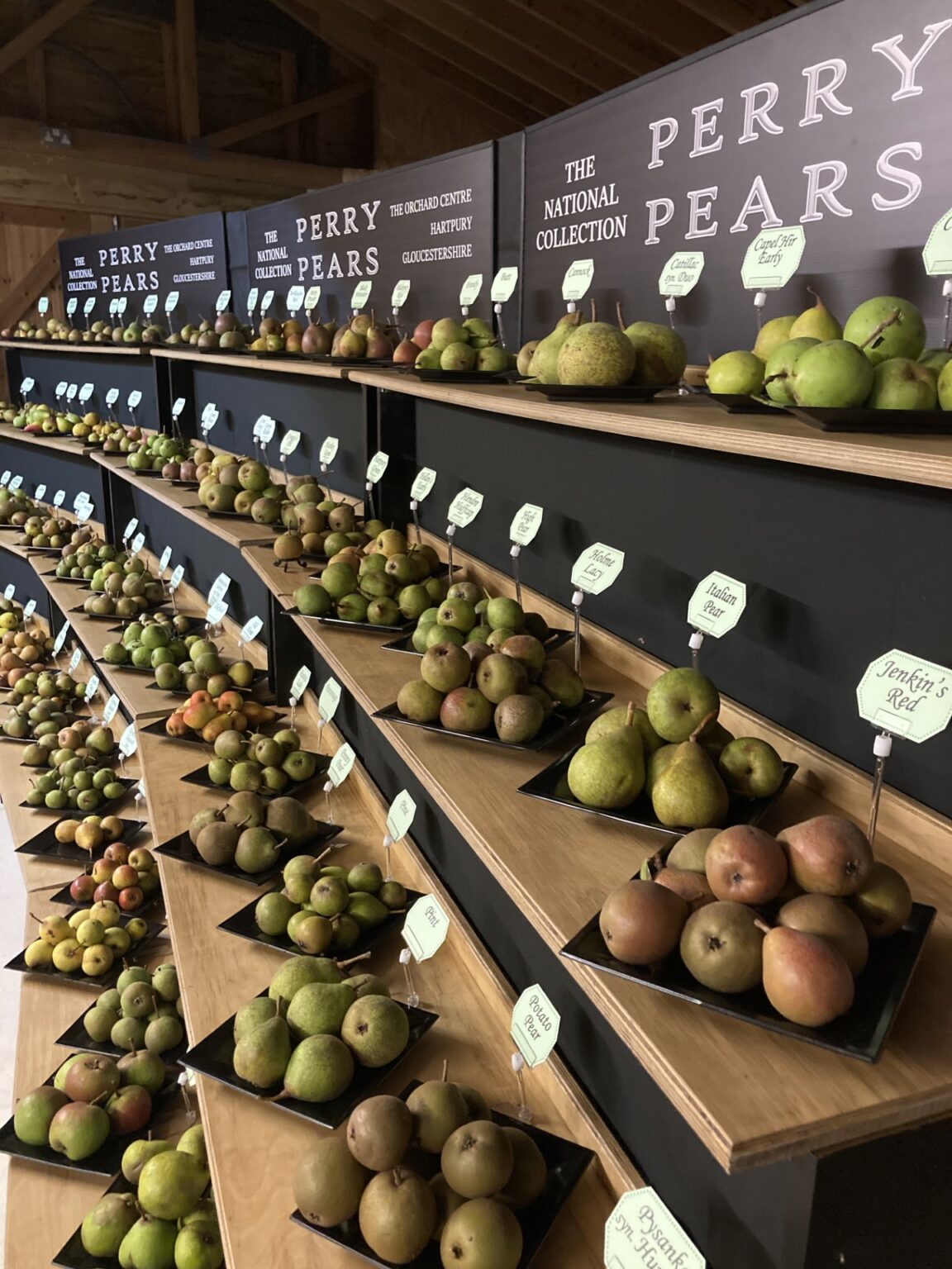 Events & Opening Hours – National Perry Pear Centre